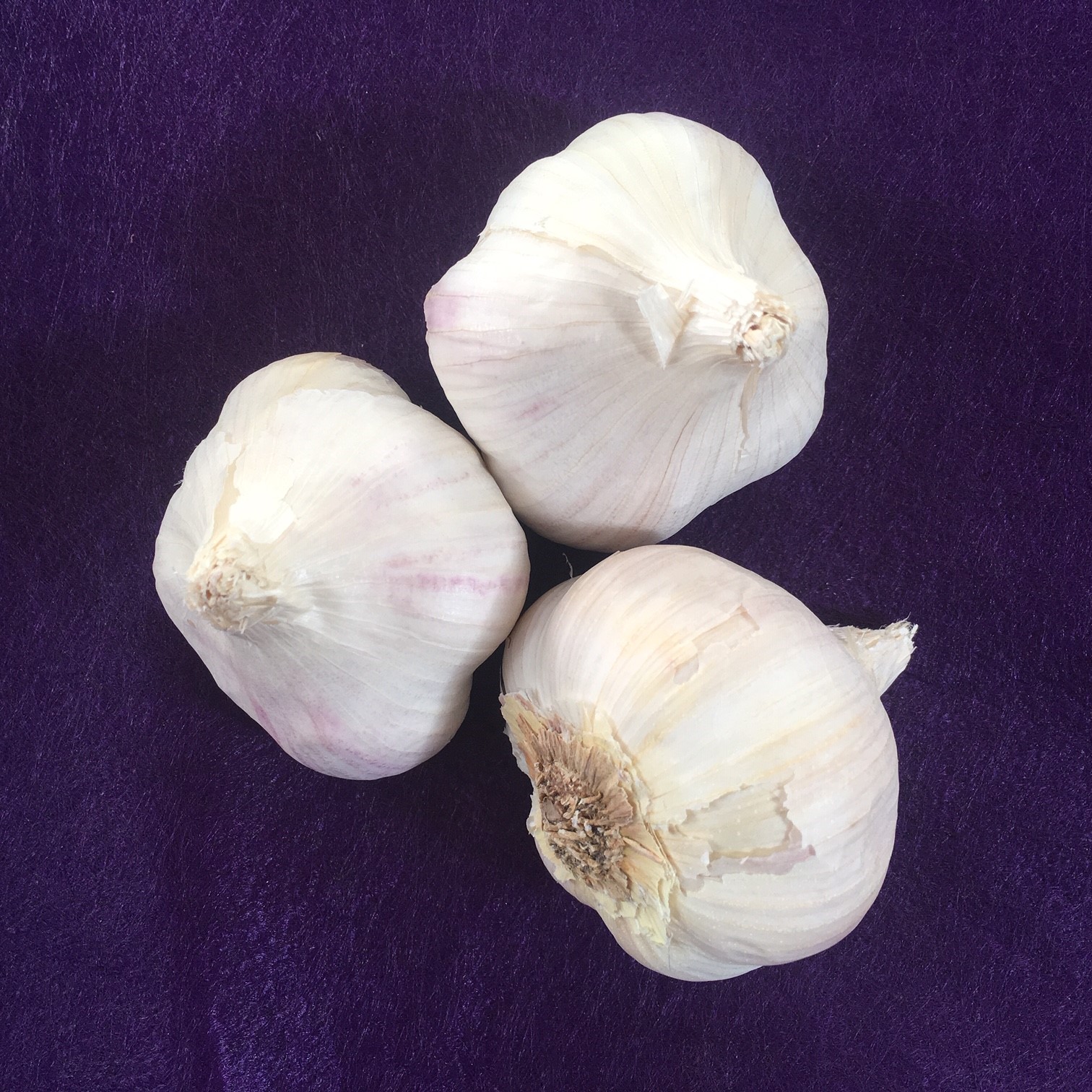 Wake up and smell the garlic!