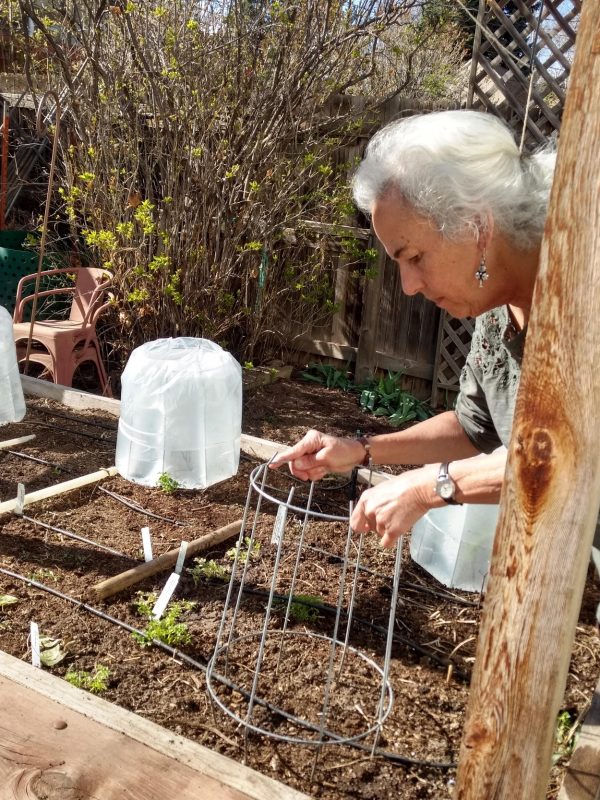 Solar Cap Step-by-Step Demo