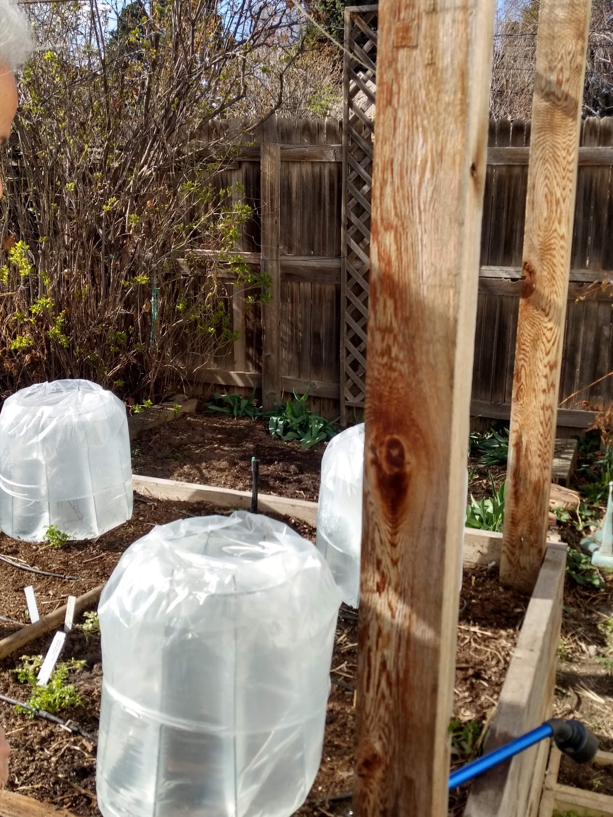 Solar Cap Step-by-Step Demo