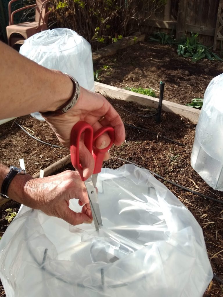 Solar Cap Step-by-Step Demo