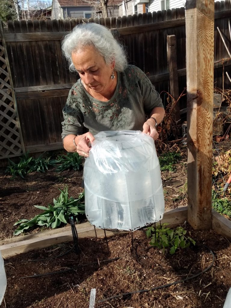 Solar Cap Step-by-Step Demo