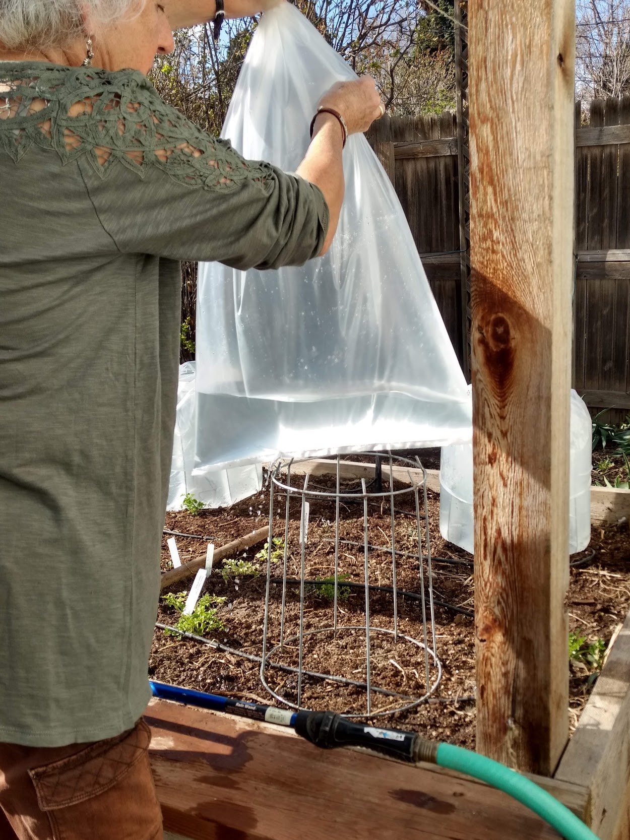 Solar Cap Step-by-Step Demo