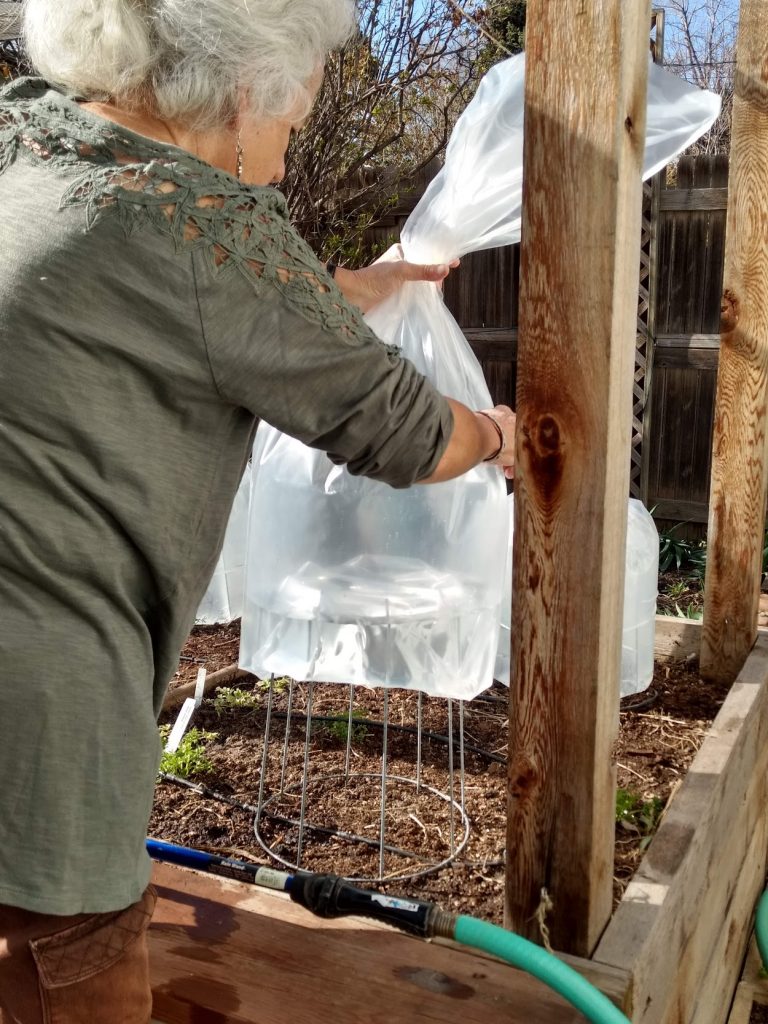 Solar Cap Step-by-Step Demo