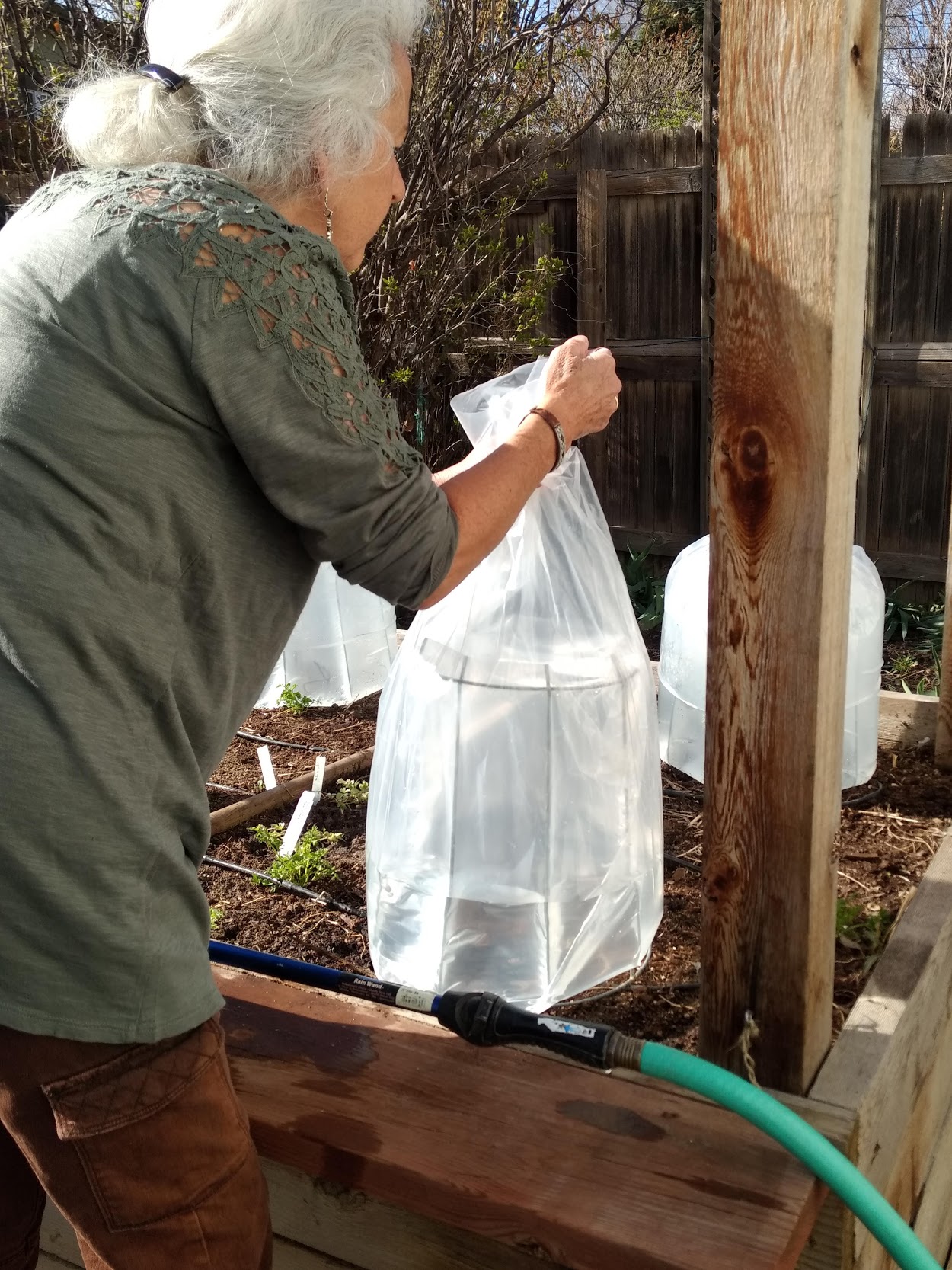 Solar Cap Step-by-Step Demo