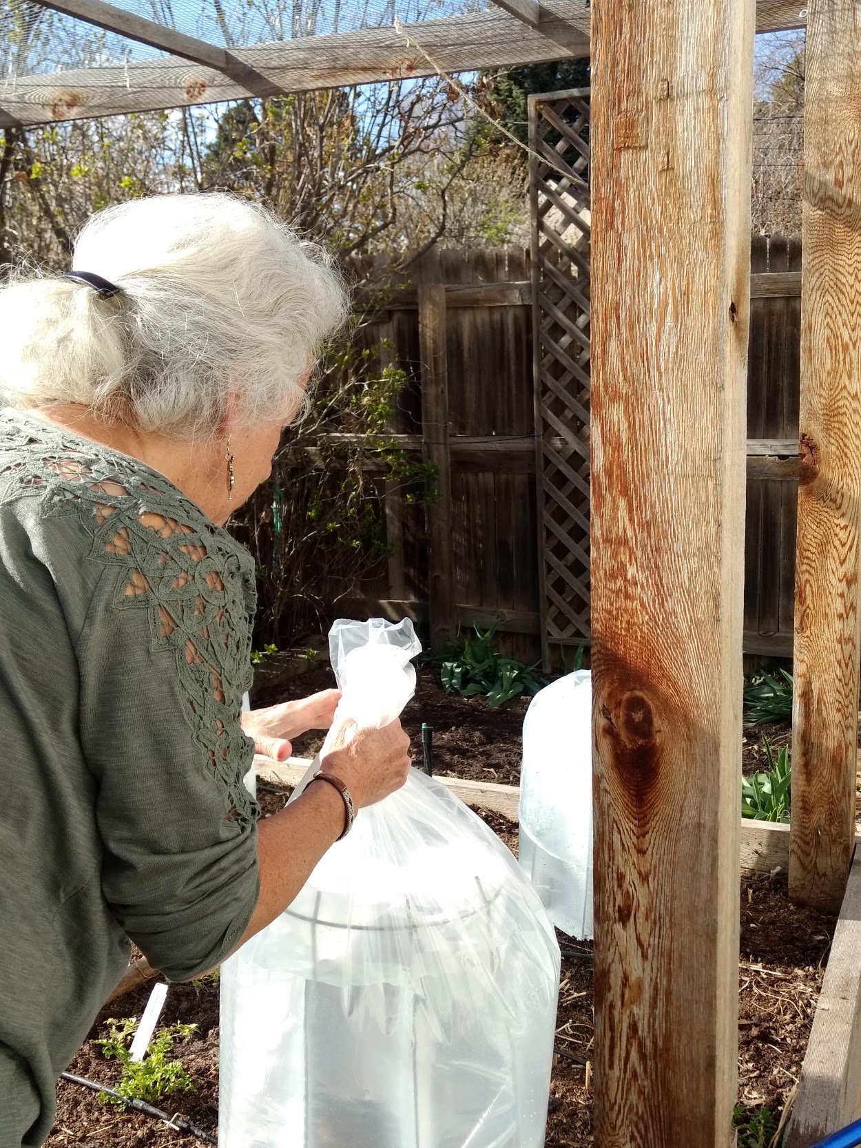 Solar Cap Step-by-Step Demo