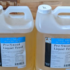 Mason bees are flying!