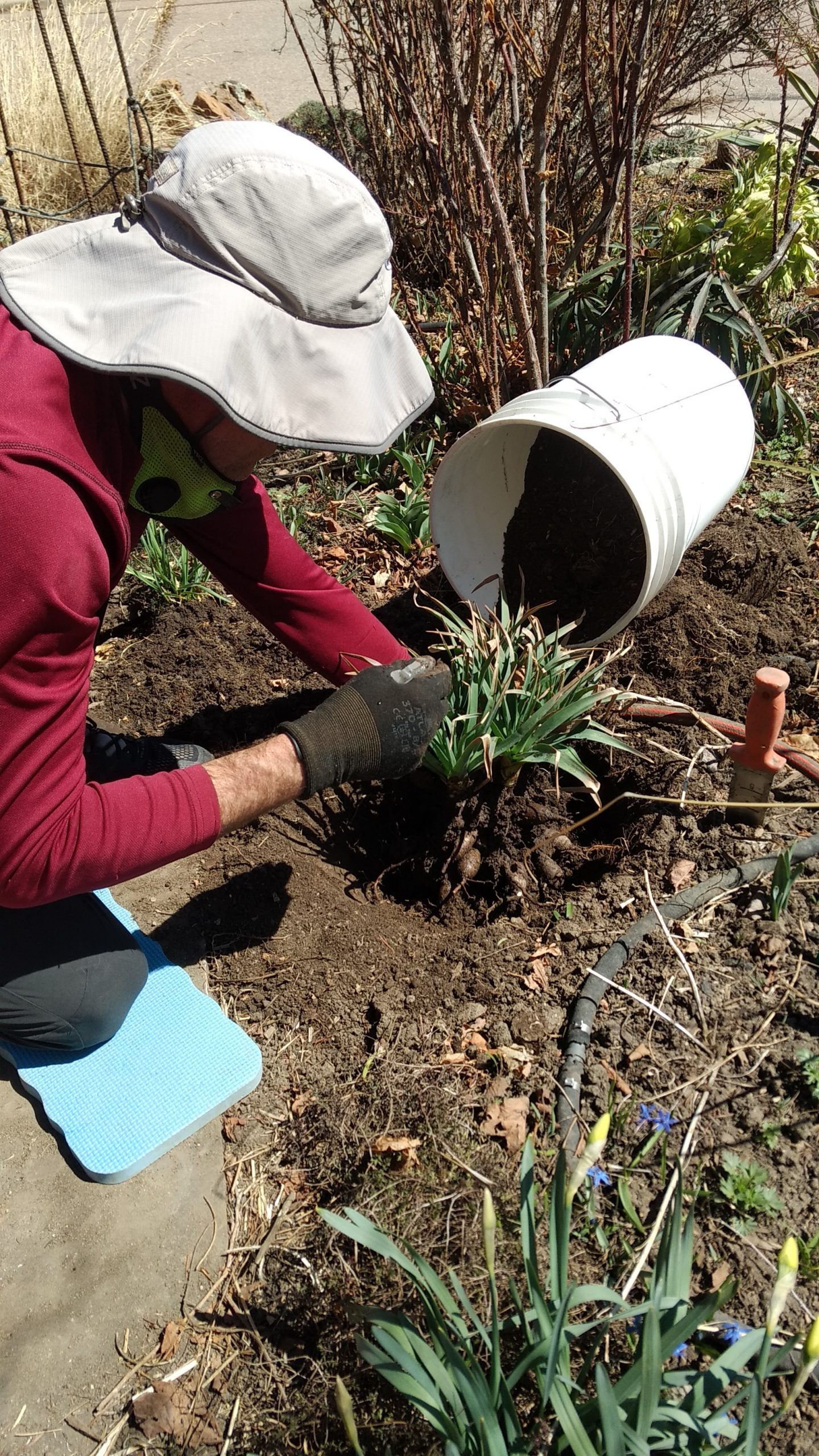 Get your Plants Moving!