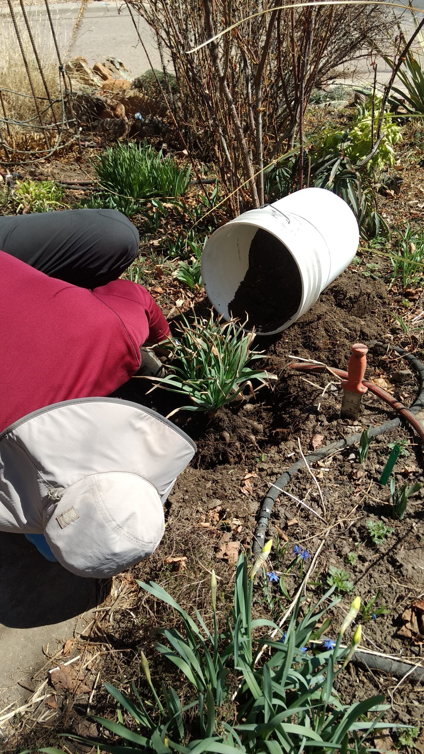 Get your Plants Moving!