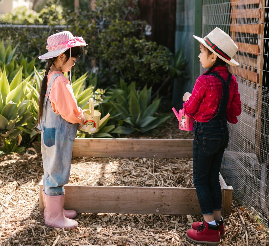 Pollinator Pathways: Rewilding Boulder Landscapes